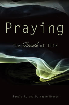 The New Believer's Handbook - Pathway Bookstore